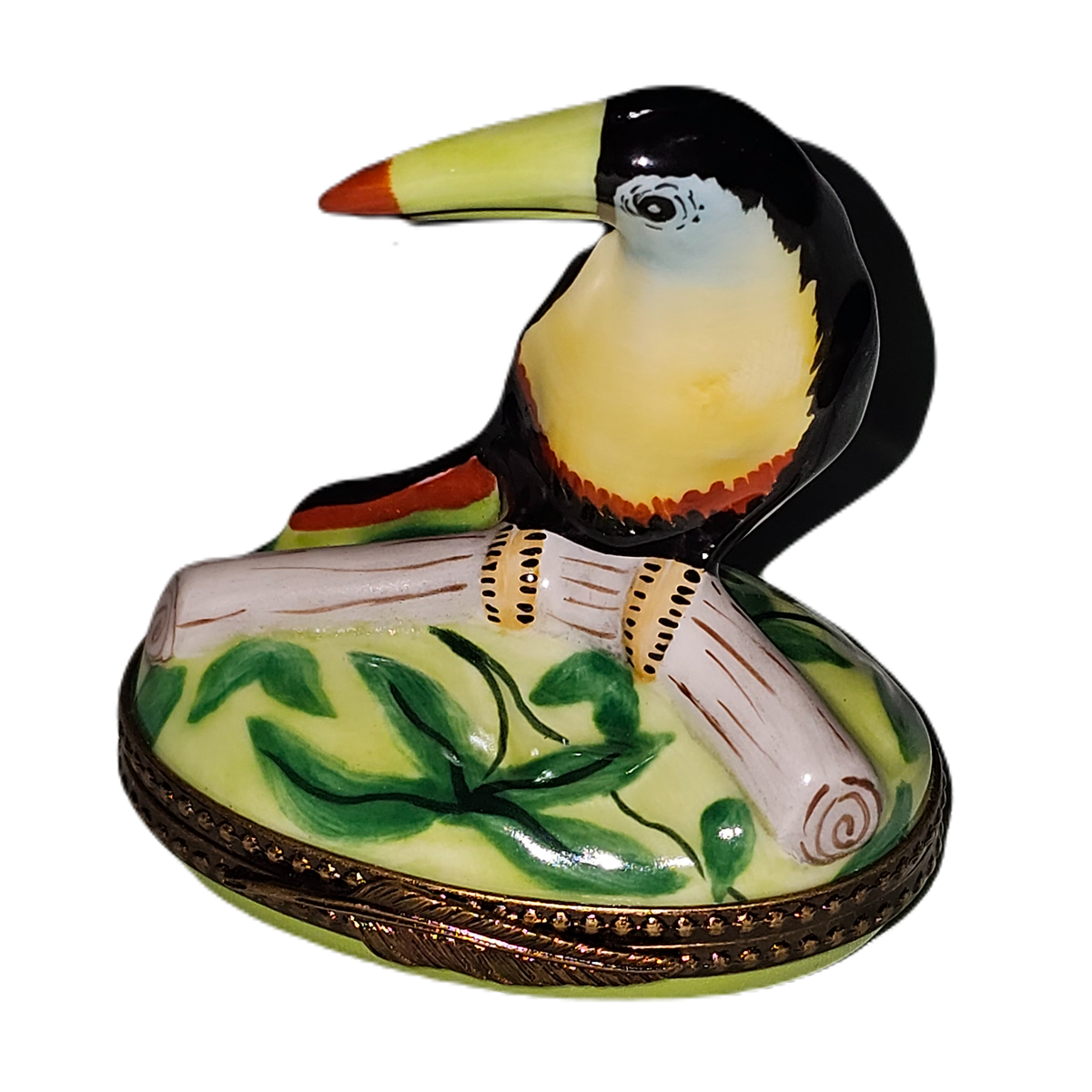Vibrant Toucan Box for Tropical Home Decor