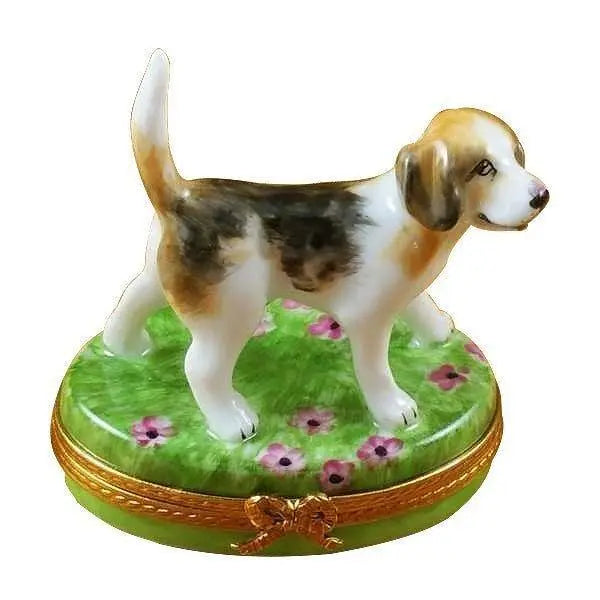 Beagle Dog Limoges Box for Collectors by Rochard