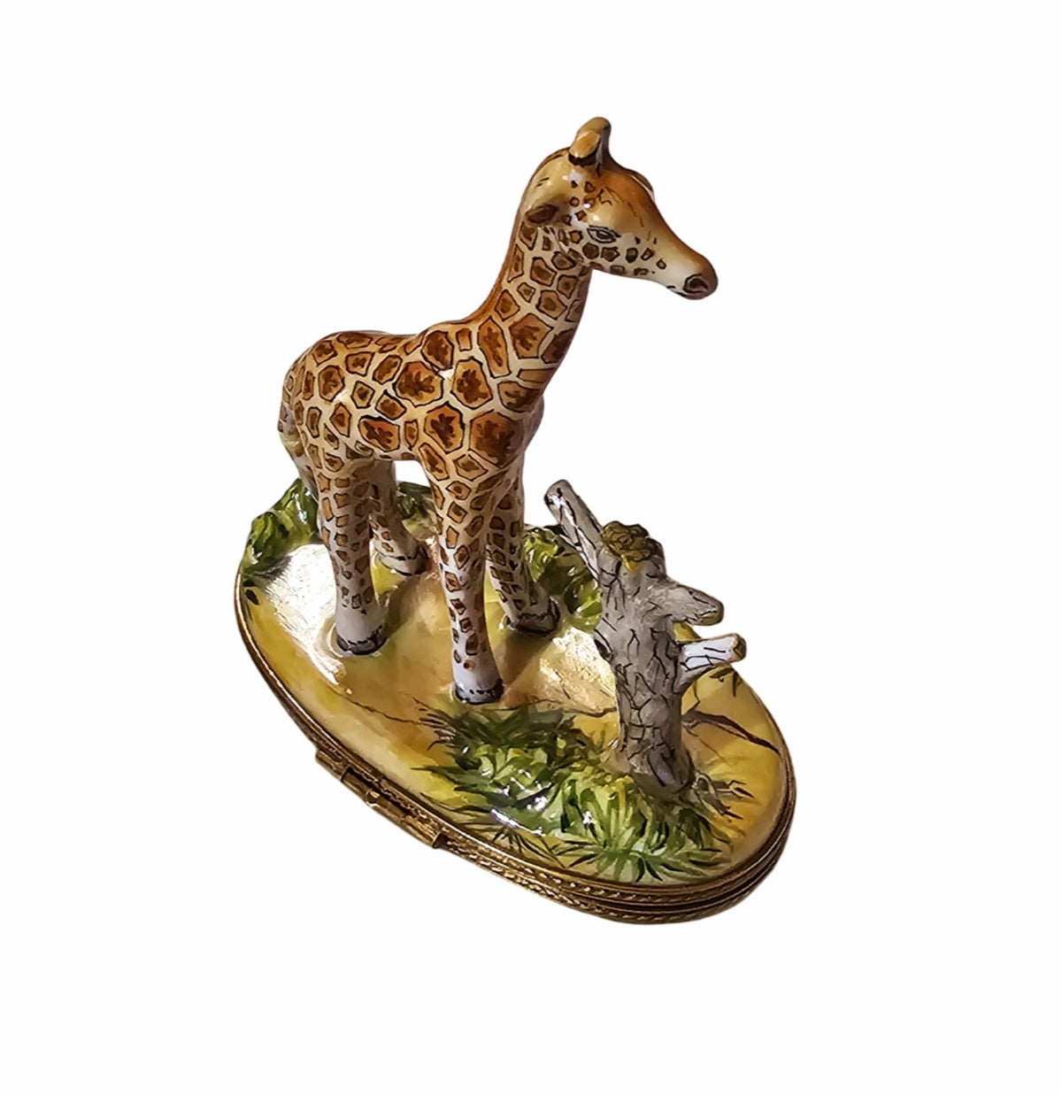 Giraffe Box for Nature Lovers - Handcrafted Elegance